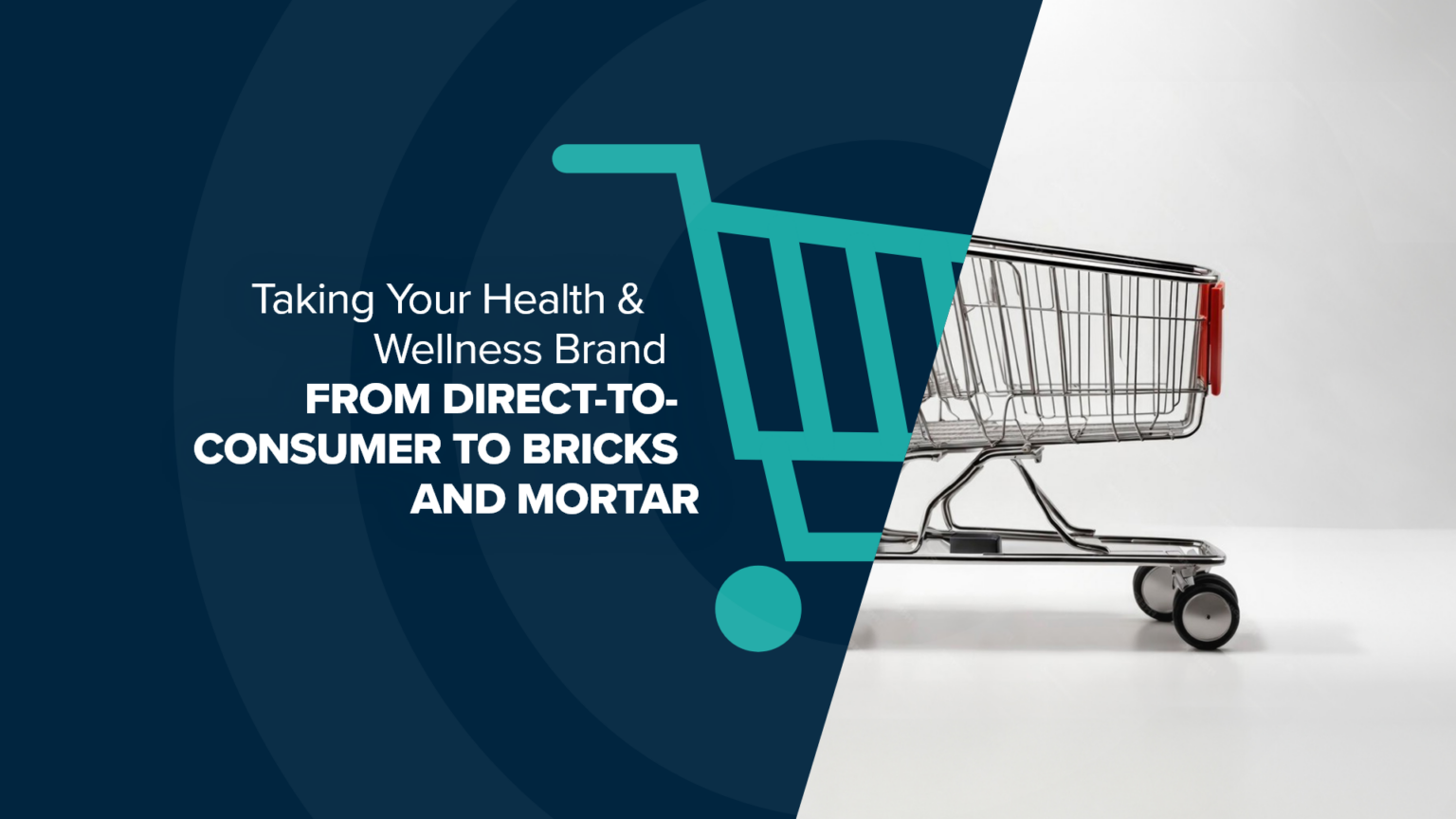 Full Service Brand Management – Ceuta Group